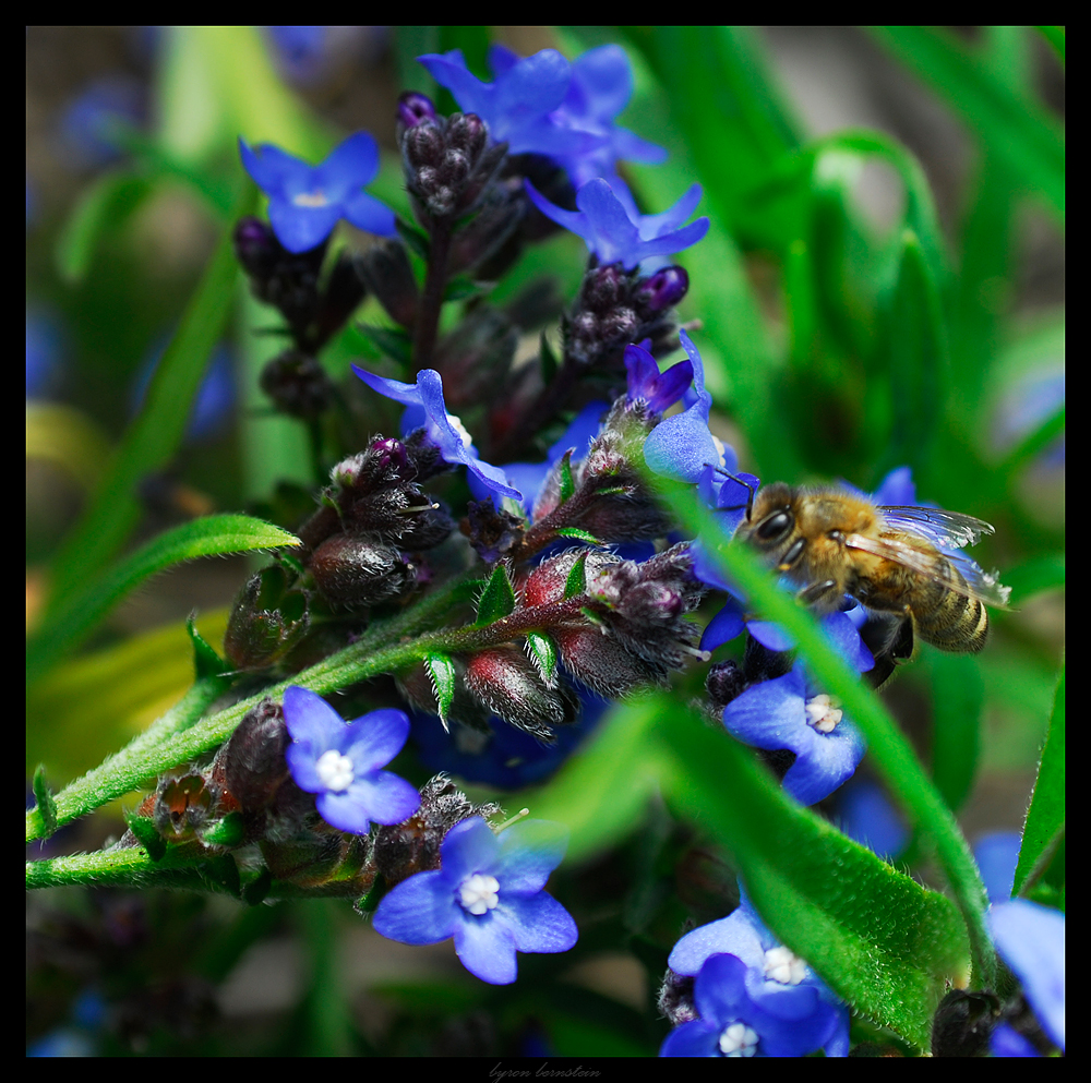 ReckfulArchive - Directory